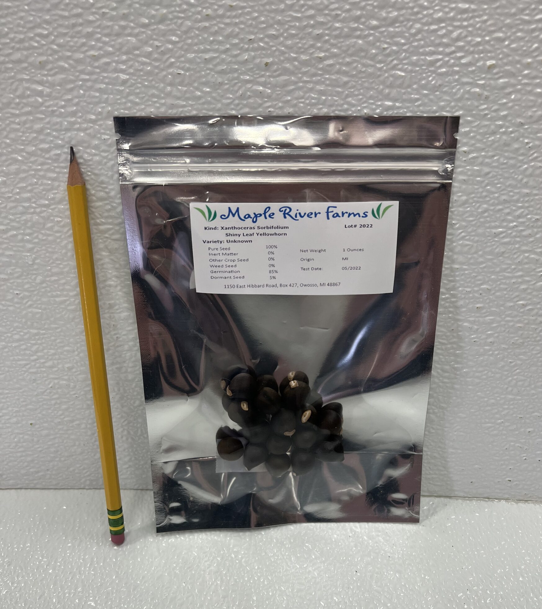 F- Xanthoceras Sorbifolium (Shiny Leaf Yellowhorn) 10 Seed/Nut Pack